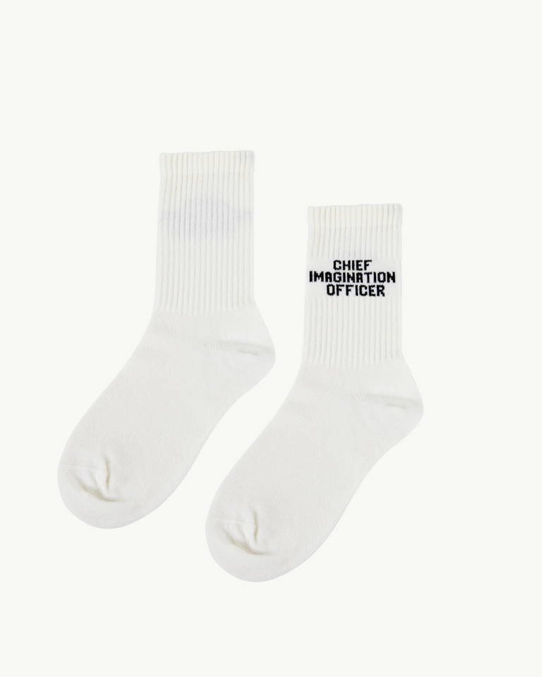 ORGANIC COTTON SOCKS PACK – Chief Imagination Officer